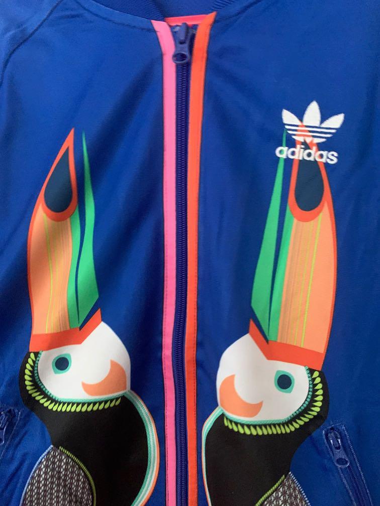 Adidas Blue Parrot Jacket, Women's Fashion, Activewear on Carousell