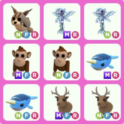 Adoptme NR/NFR/MR/MFR, Video Gaming, Gaming Accessories, In-Game ...