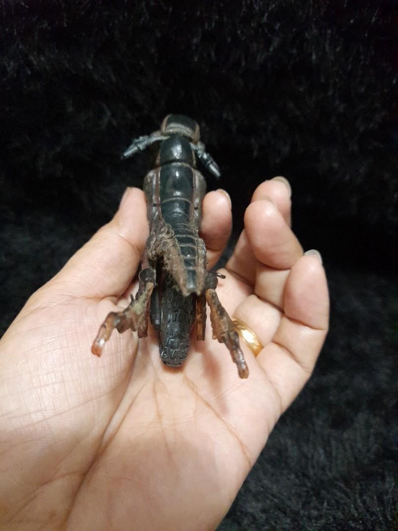 Battle hopper rare, Hobbies & Toys, Toys & Games on Carousell