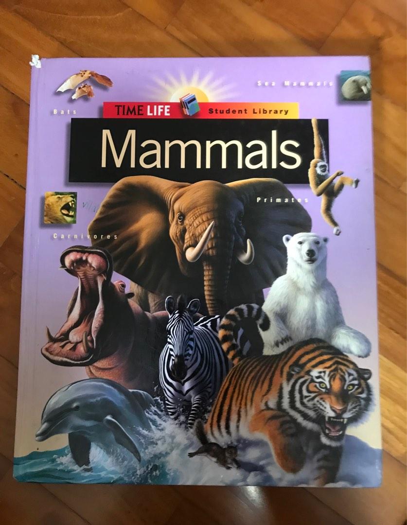 Book, Hobbies & Toys, Books & Magazines, Children's Books on Carousell