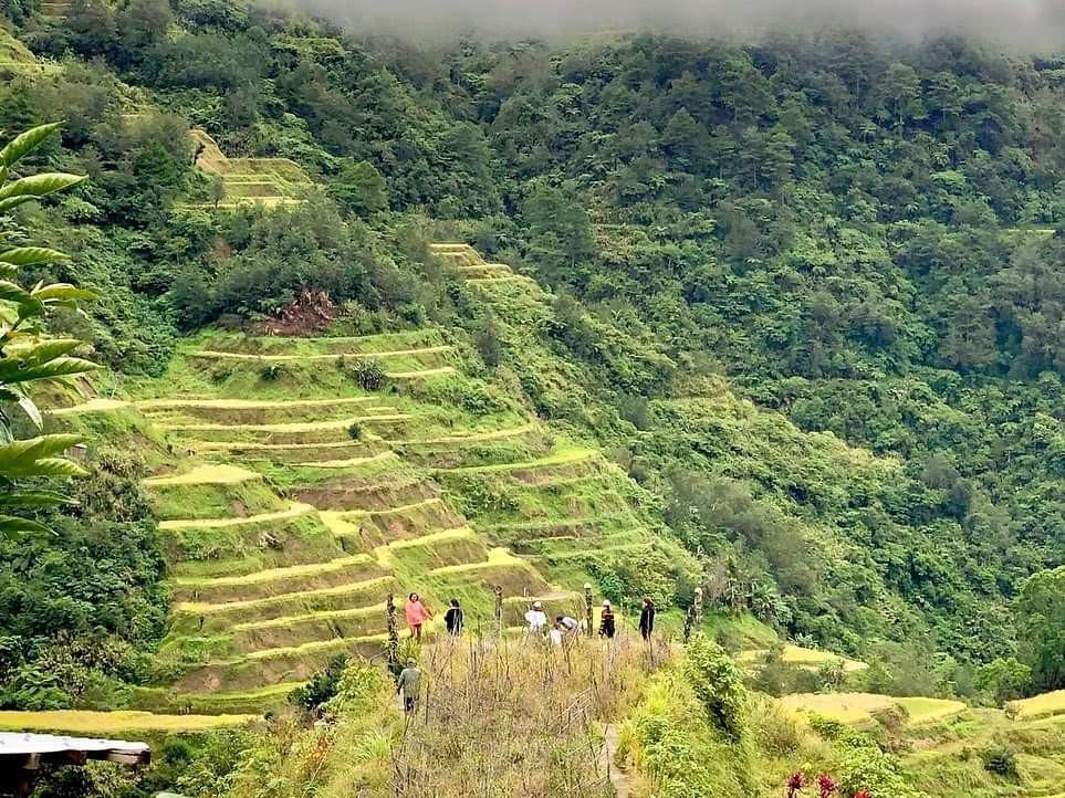 Buscalan + Baguio Tours, Sports Equipment, Hiking & Camping on Carousell