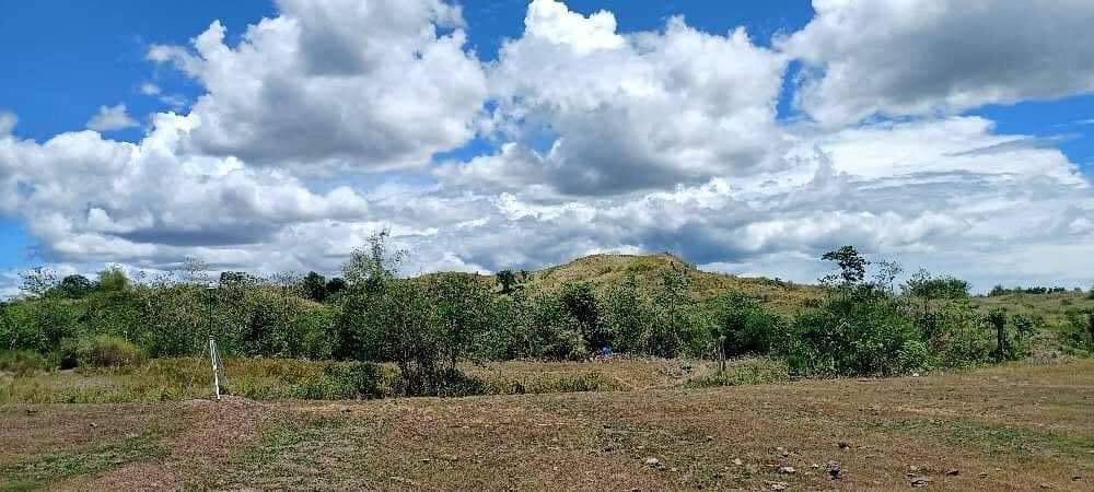 Farm lot for sale, Property, For Sale, Lot on Carousell