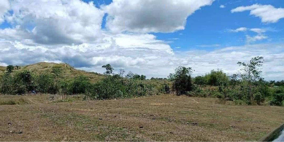 Farm lot for sale, Property, For Sale, Lot on Carousell