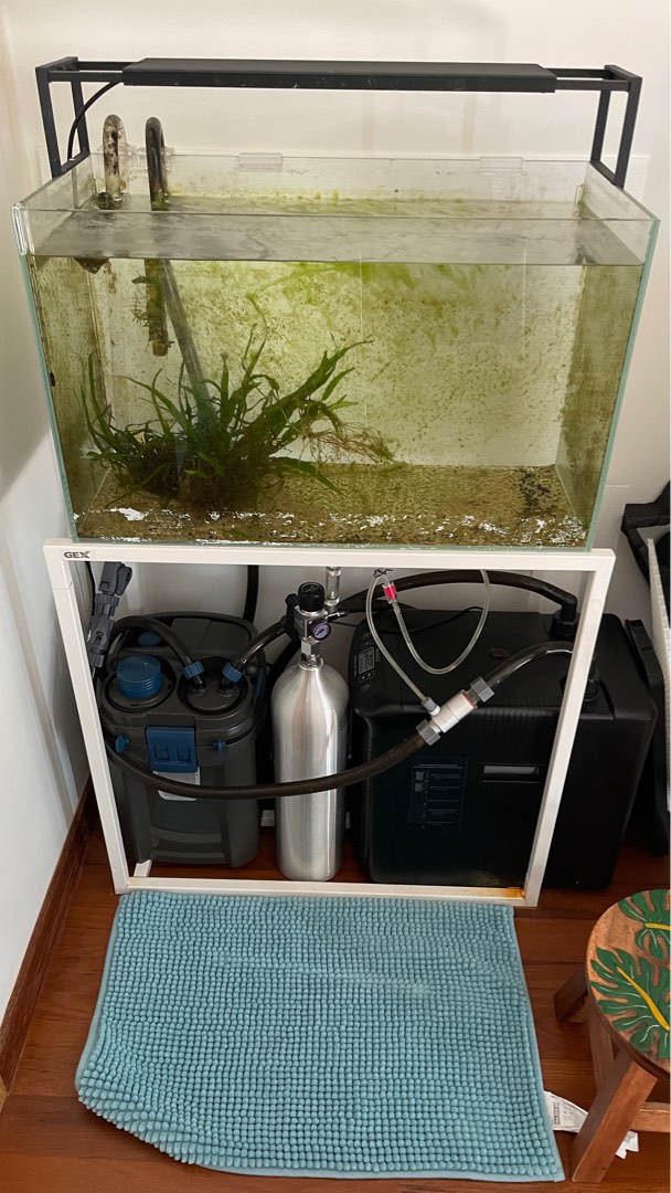 Fish tank / filter/ CO2 / chiller set, Pet Supplies, Homes & Other Pet ...