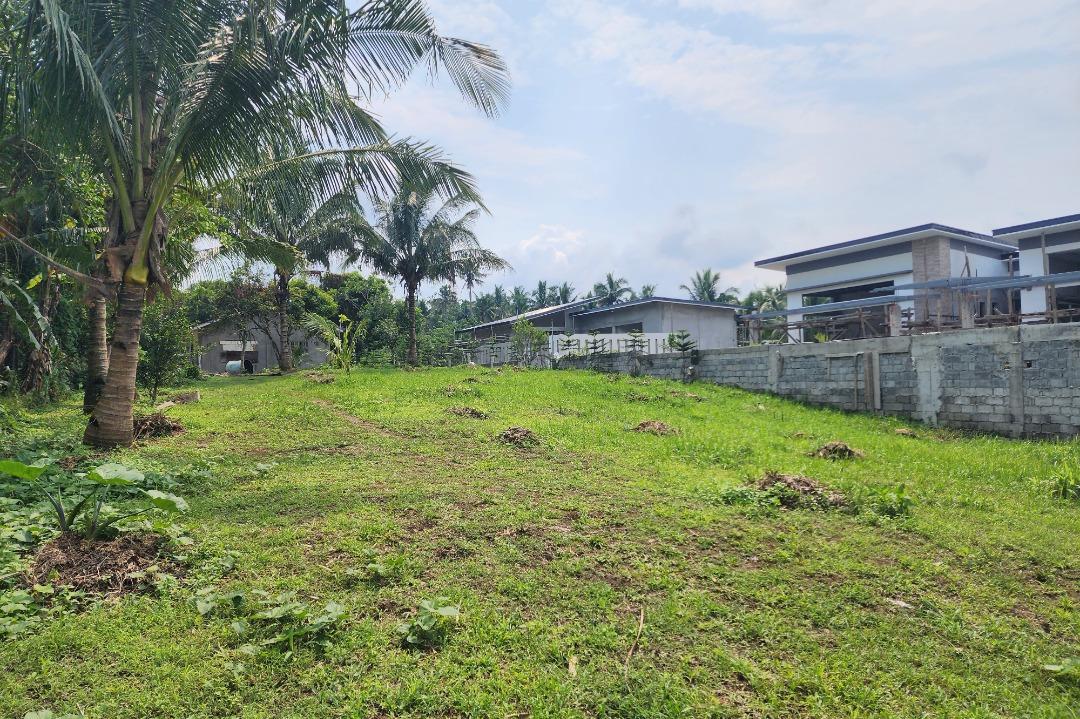 Malabag Silang lot for sale, Property, For Sale, Lot on Carousell