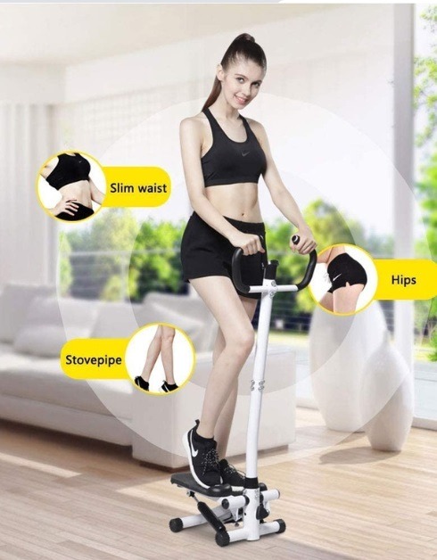 Premium Exercise Slimming Stepper/Stepping Machine with Handle Home Gym ...