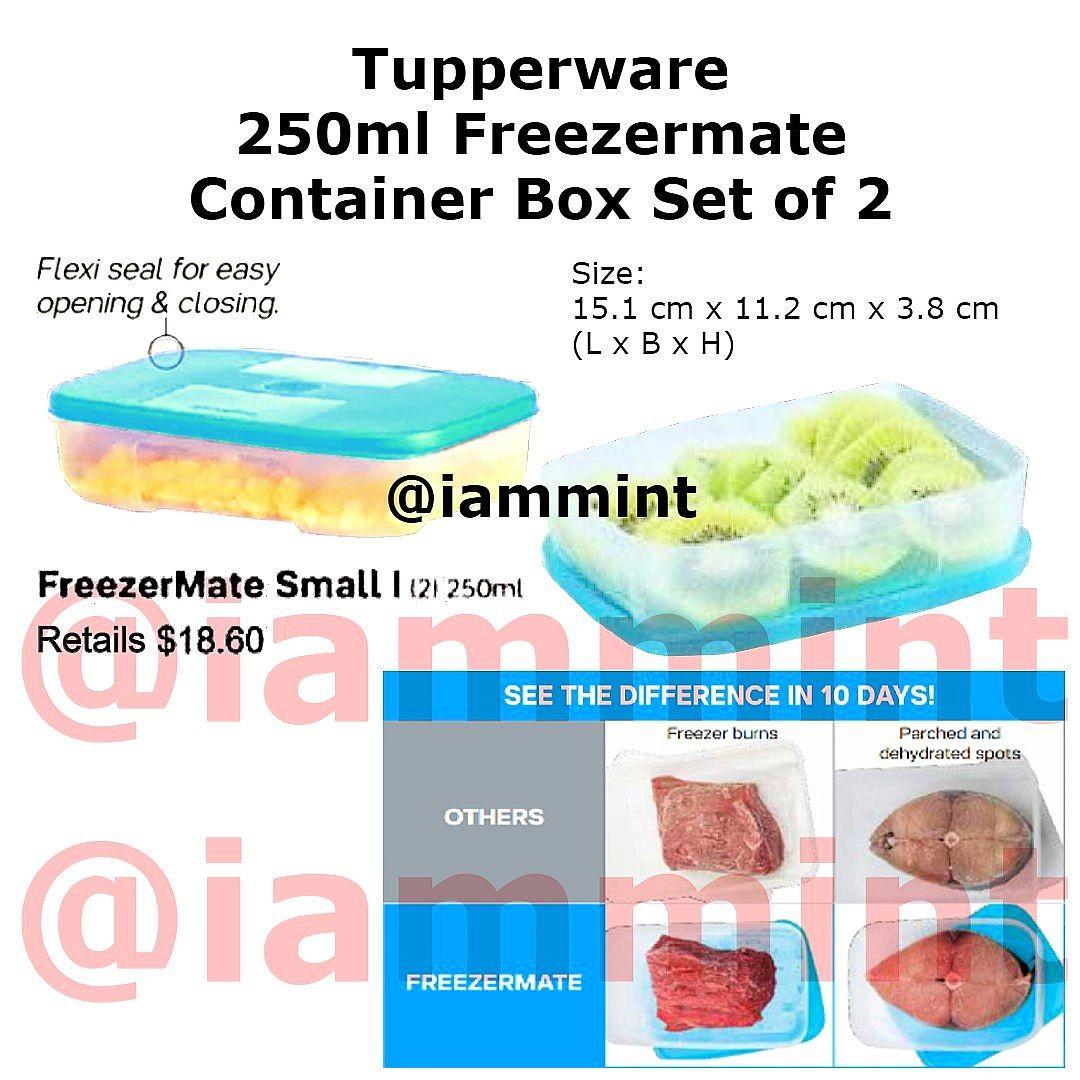 Tupperware 250 ml Freezermate Small I Rectangular Container Box Set of ...