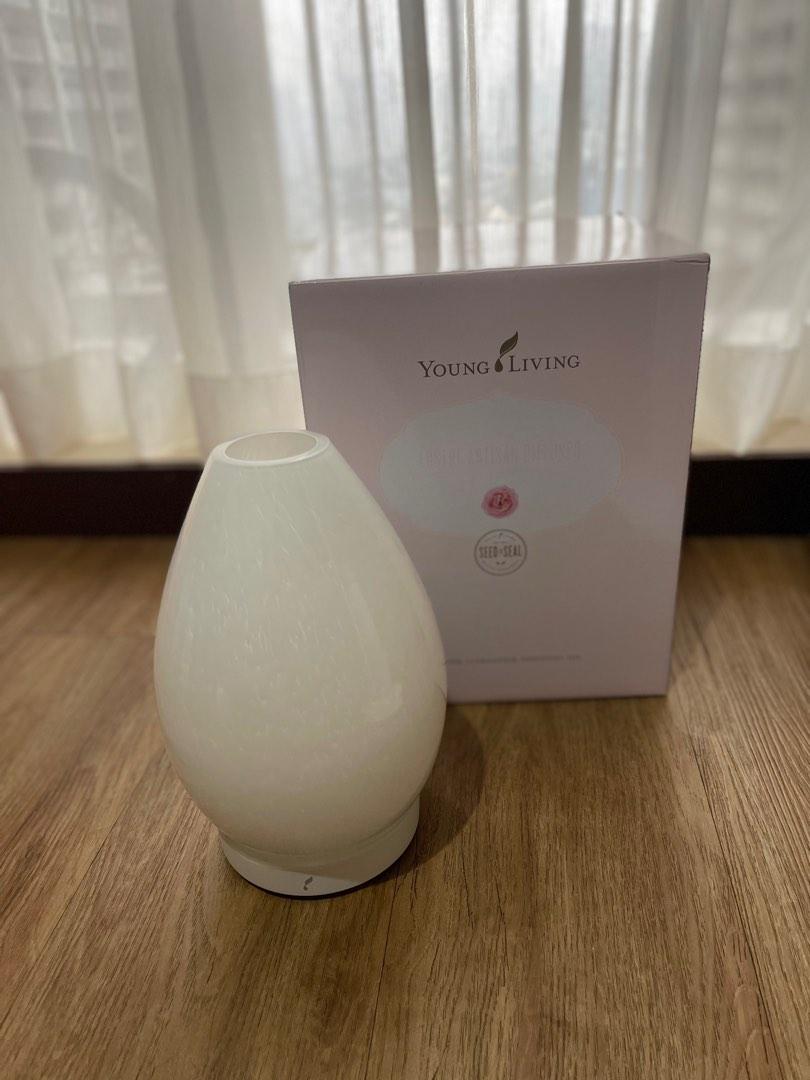 Young Living Luster Diffuser, TV & Home Appliances, Air Purifiers ...