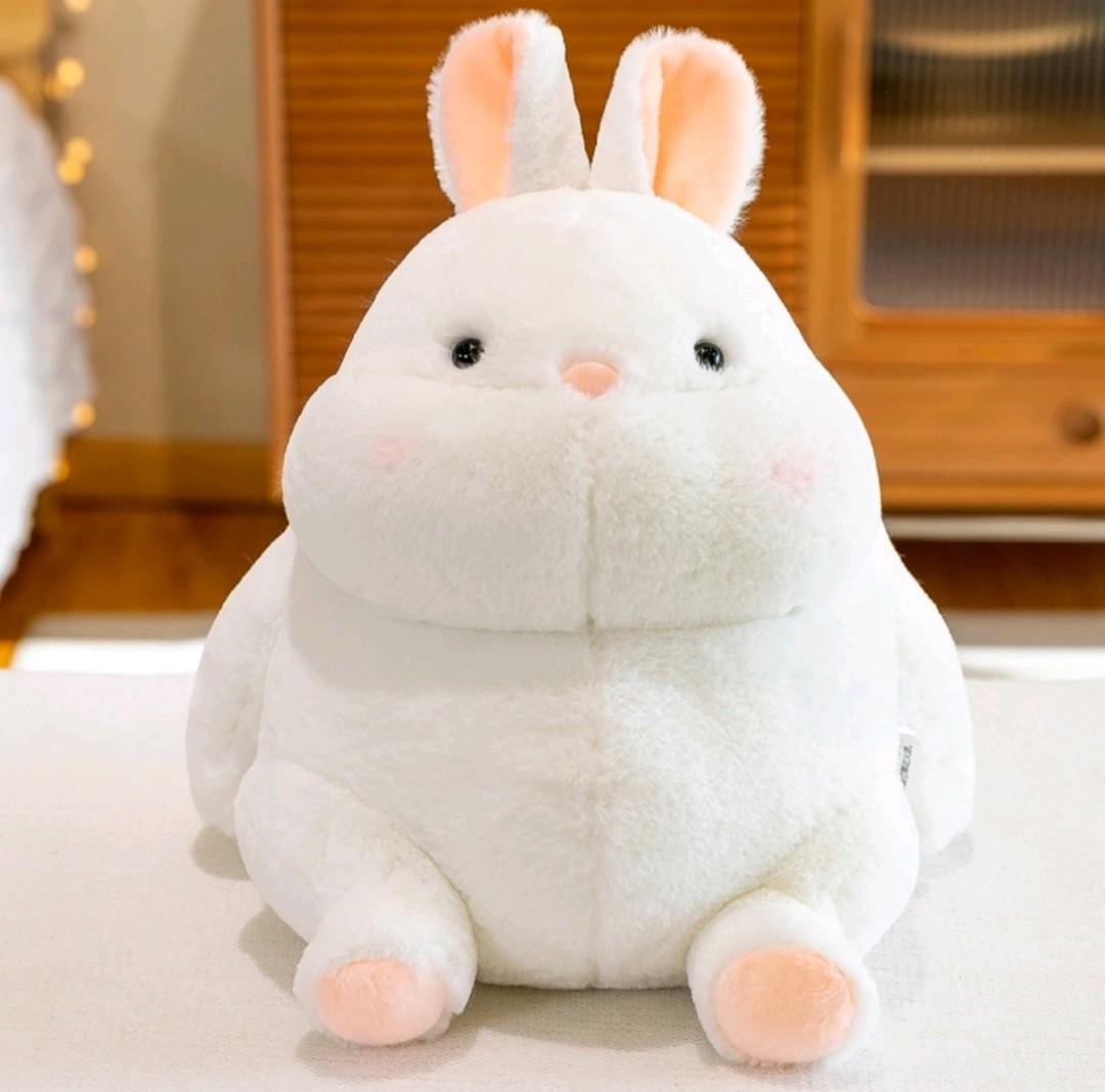 Chonkies Fluffy Plushies, Hobbies & Toys, Toys & Games on Carousell