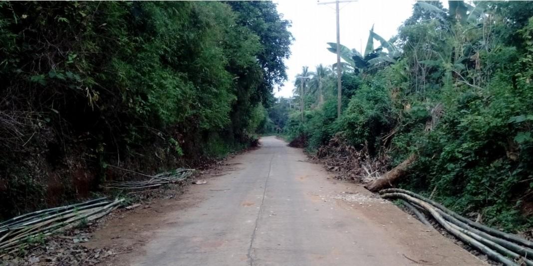FOR SALE: Agricultural Lot - 23.6 Hectares, Barangay Daan Pare, Orion ...