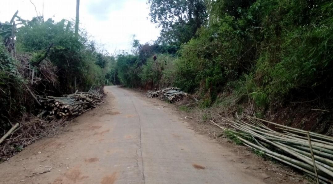 FOR SALE: Agricultural Lot - 23.6 Hectares, Barangay Daan Pare, Orion ...
