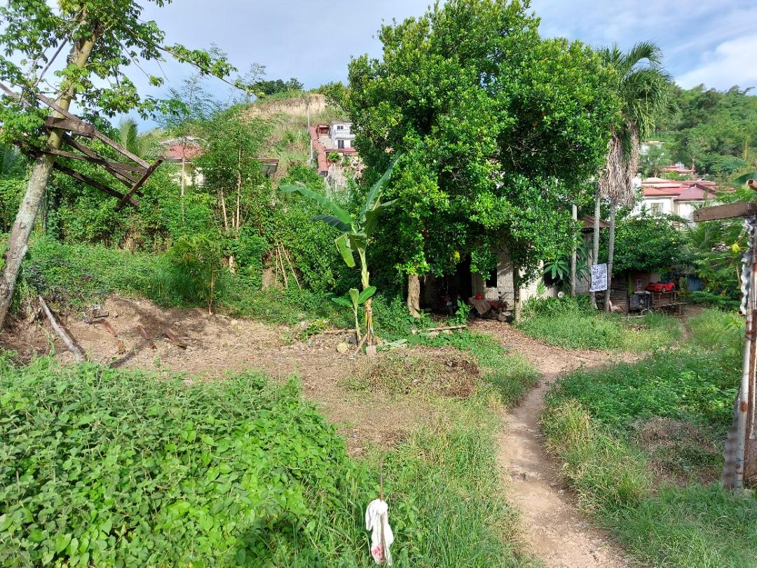 Lot for sale., Property, For Sale, Lot on Carousell