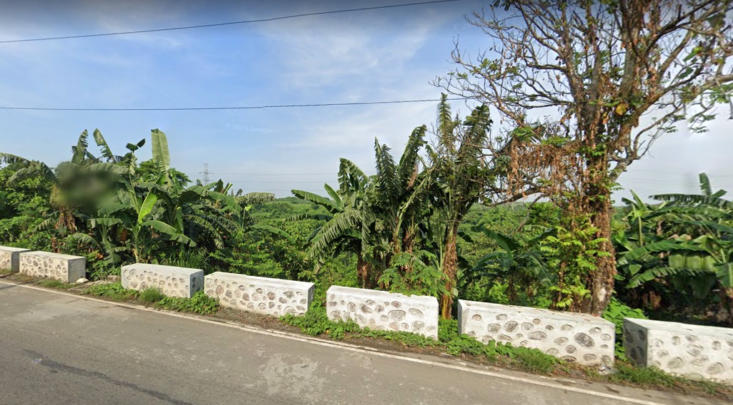 Lot for sale in Aguinaldo highway Dasmarinas Cavite 31 hectares ...