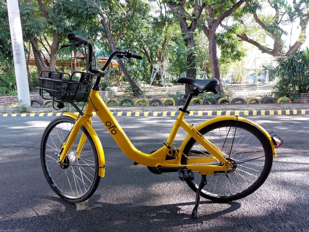 OFO Bike, Sports Equipment, Bicycles & Parts, Bicycles on Carousell