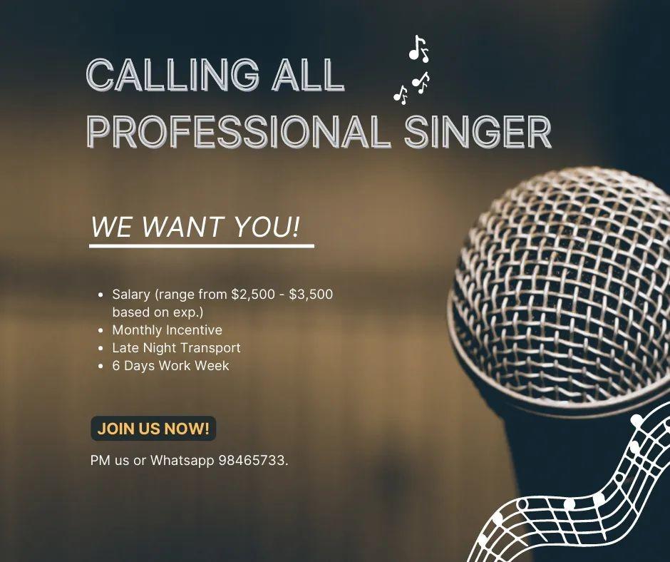 Singer, Jobs, Internships & Others on Carousell