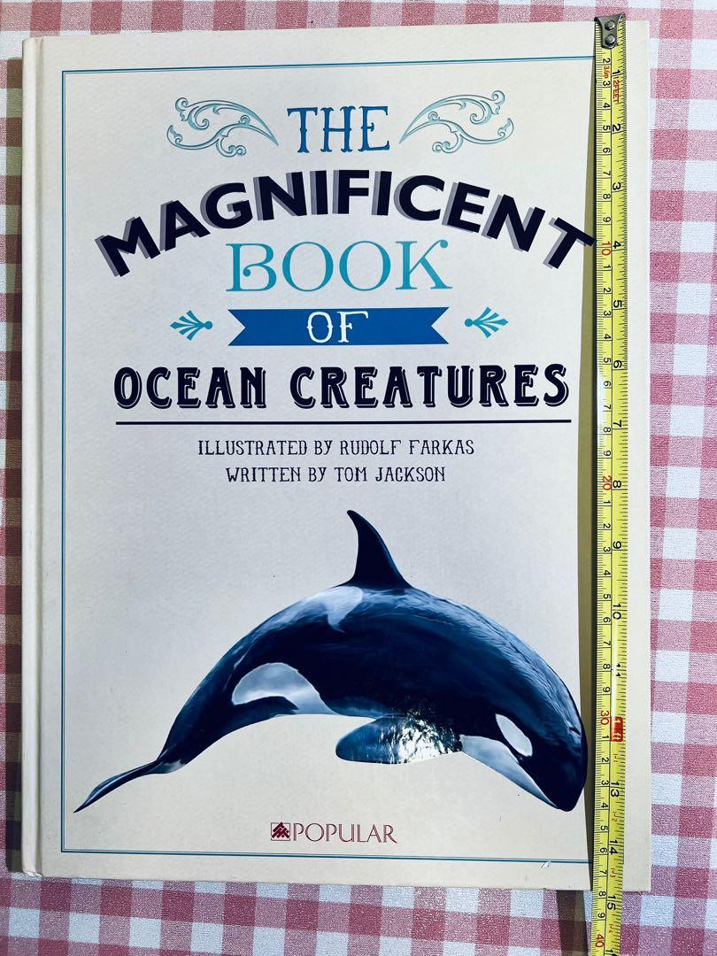 The Magnificent Books of Ocean Creatures, Hobbies & Toys, Books ...