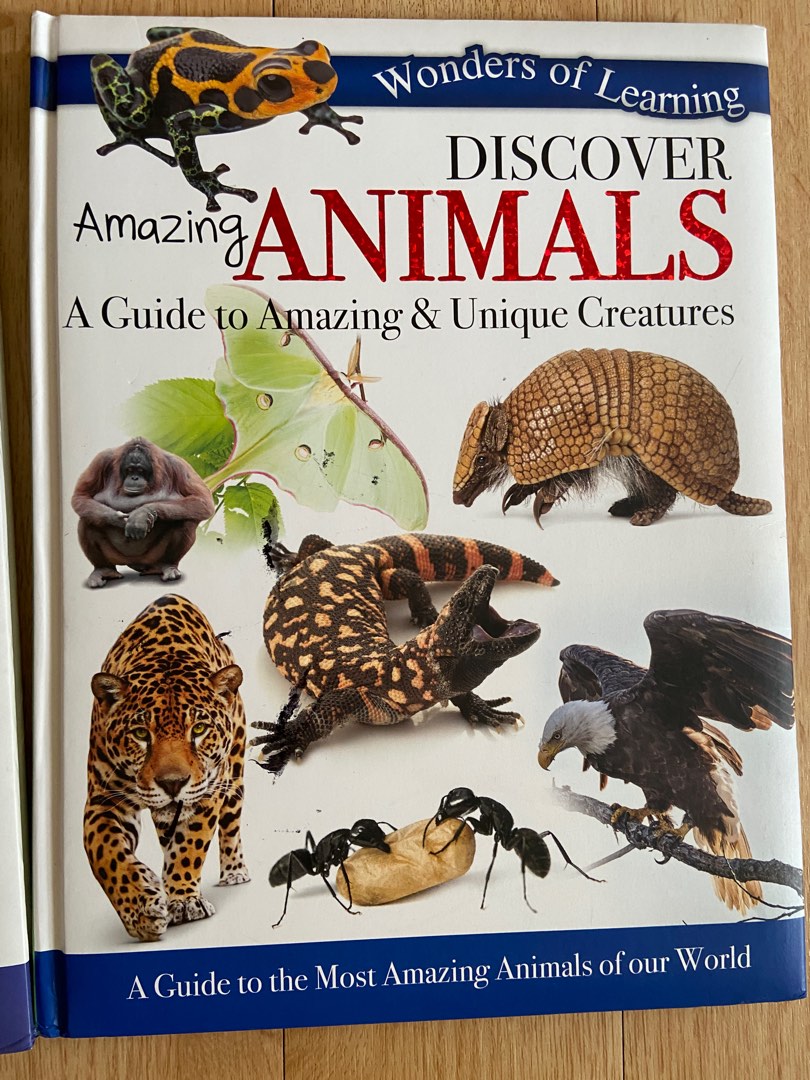 Wonders of learning book, Hobbies & Toys, Books & Magazines, Textbooks ...