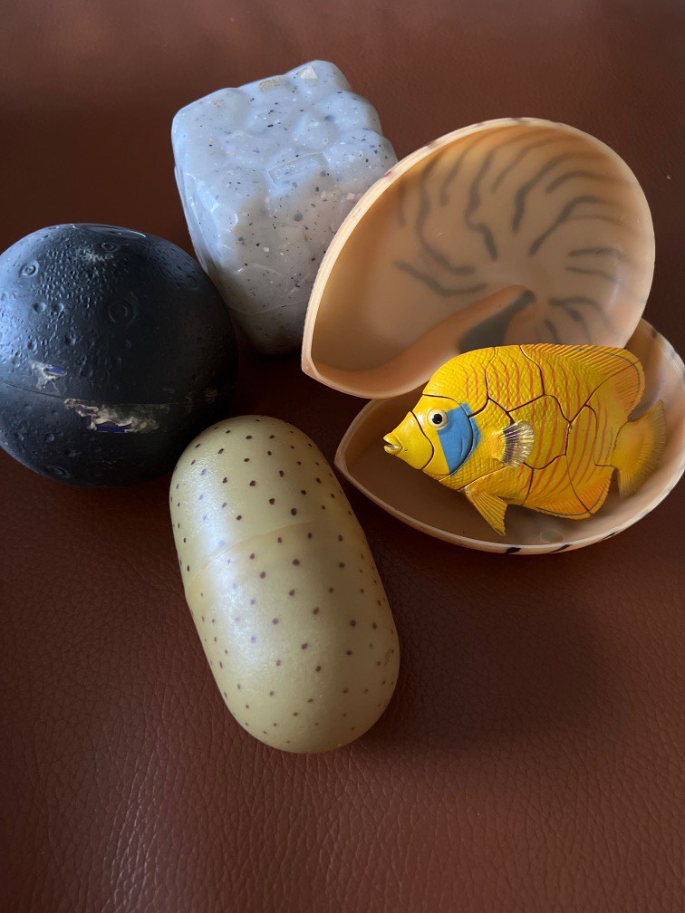 4D Animal Puzzles, Hobbies & Toys, Toys & Games on Carousell