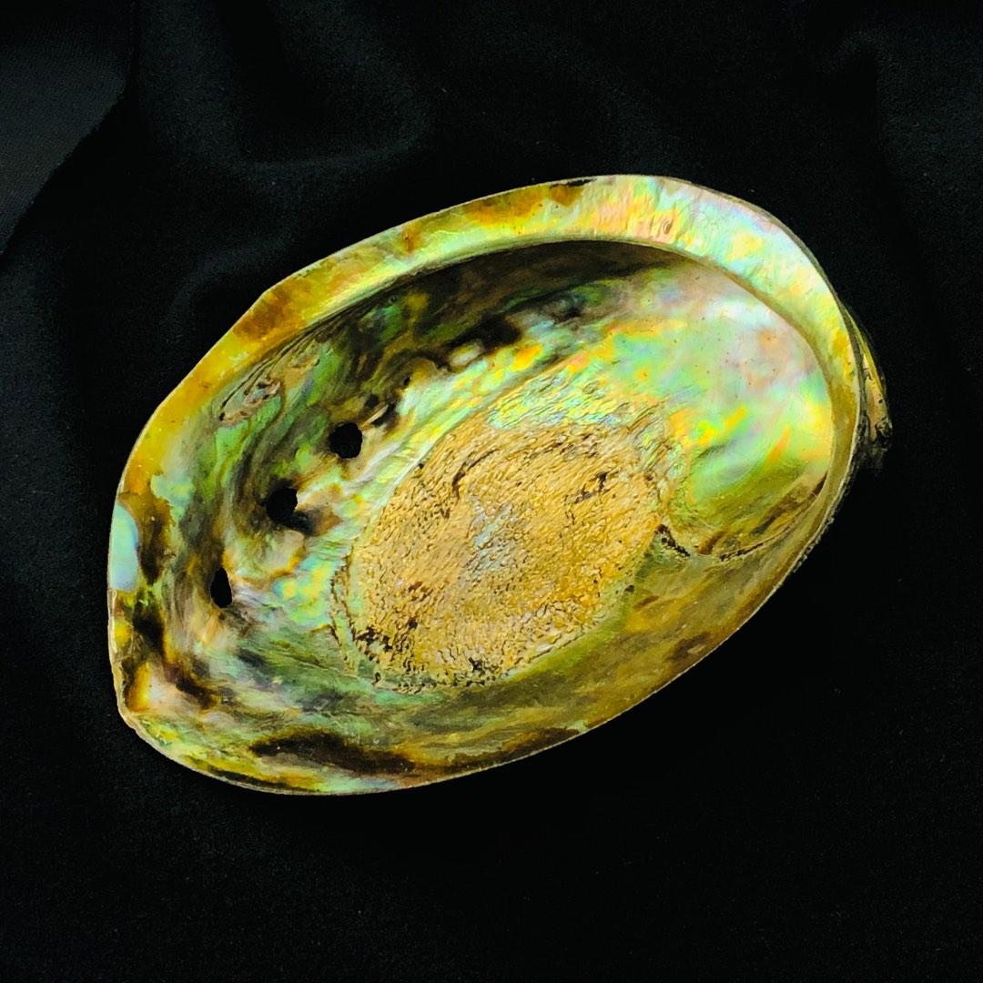Abalone shell jewelry holder or display, Women's Fashion, Jewelry ...