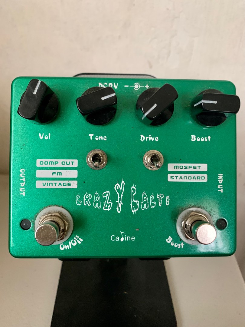 Caline Crazy Cacti, Hobbies & Toys, Music & Media, Music Accessories on ...