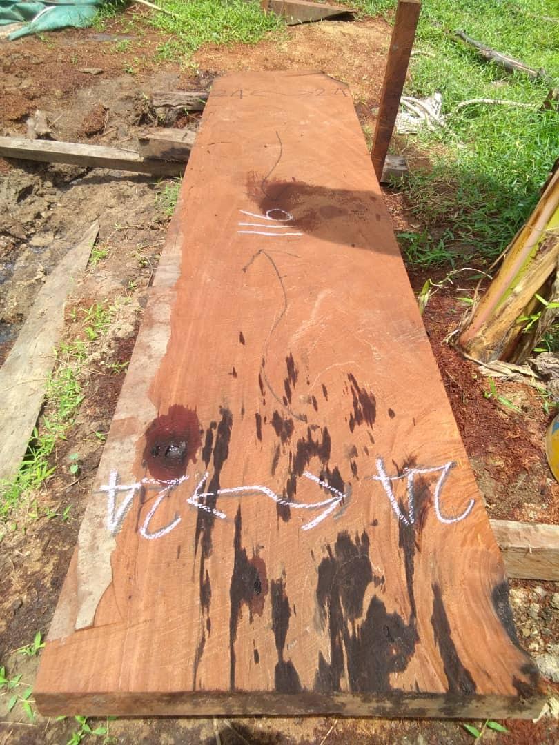 Chengal emas slab, Furniture & Home Living, Outdoor Furniture on Carousell