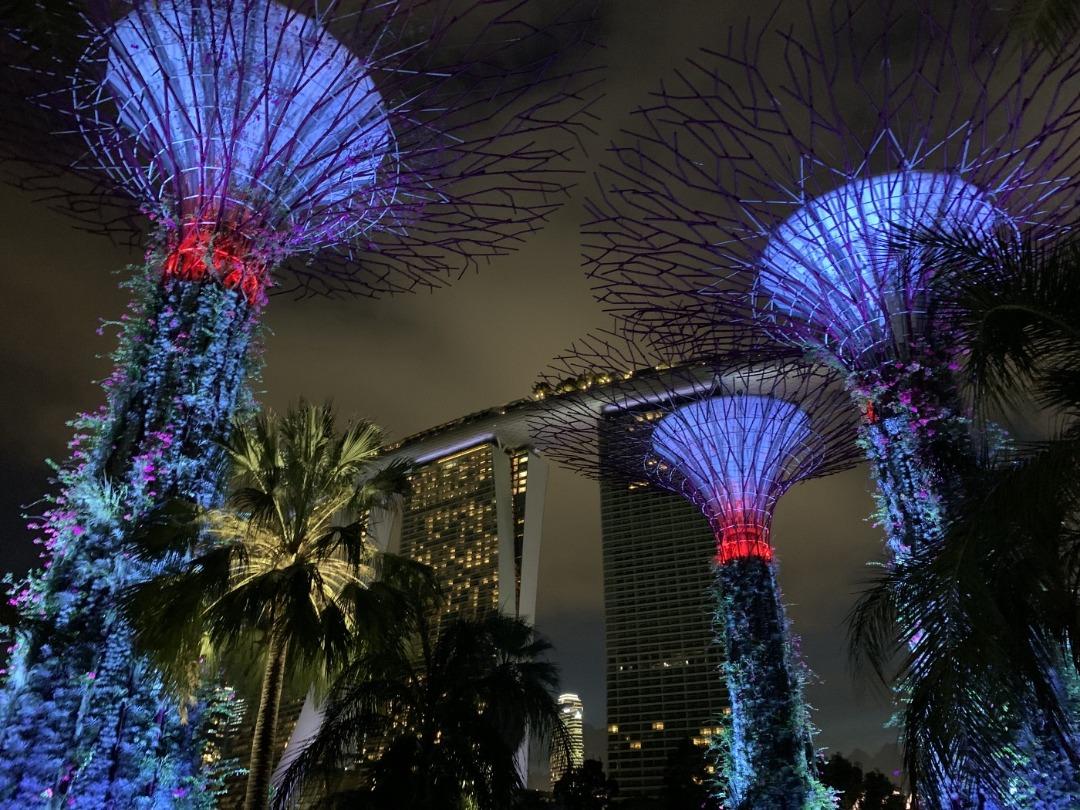 Gardens by the Bay Flower Dome + Supertree Observatory, Tickets ...