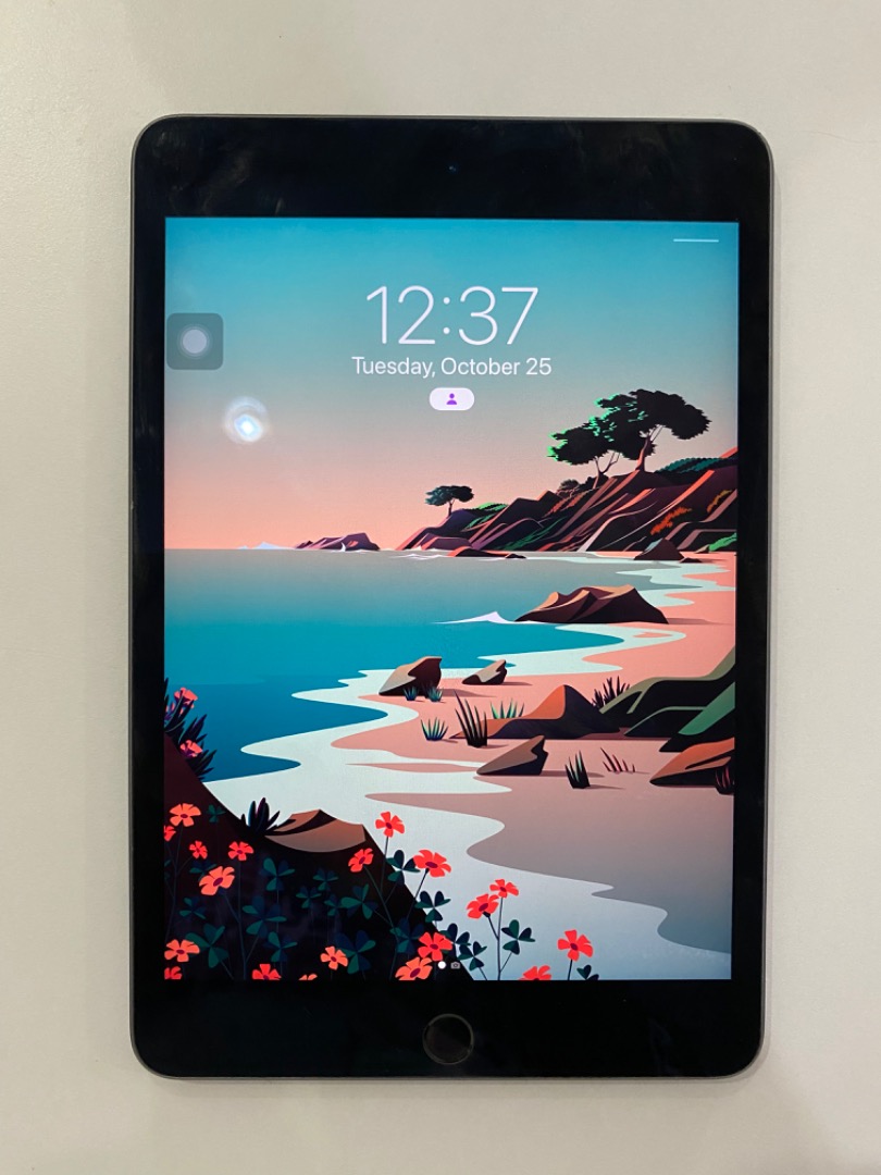 Ipad Mini 5th Gen 64GB Wifi, Mobile Phones & Gadgets, Tablets, iPad on ...
