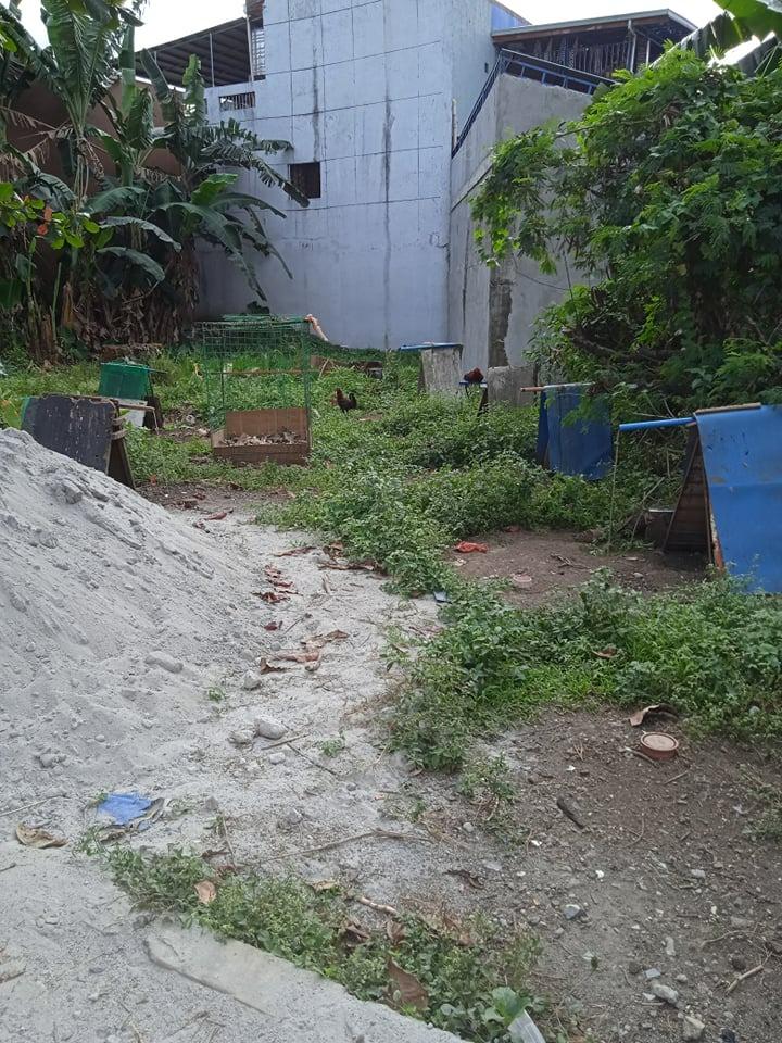 Lot For Sale 312 SQM Subdivision @ Bagbag Novaliches Quezon City ... Lot For Sale 312 SQM Subdivision @ Bagbag Novaliches Quezon City ...