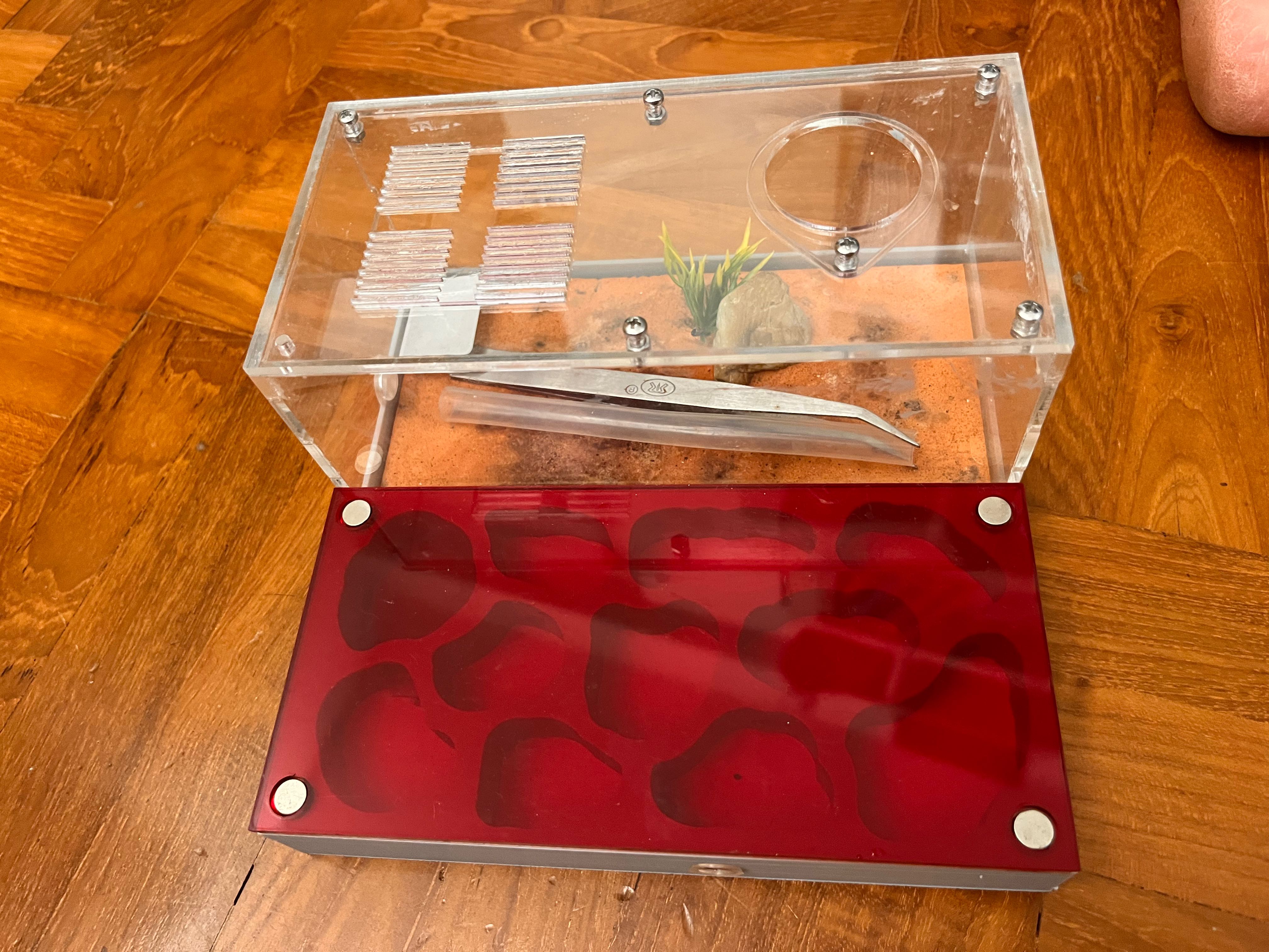 Ant formicarium, Pet Supplies, Homes & Other Pet Accessories on Carousell