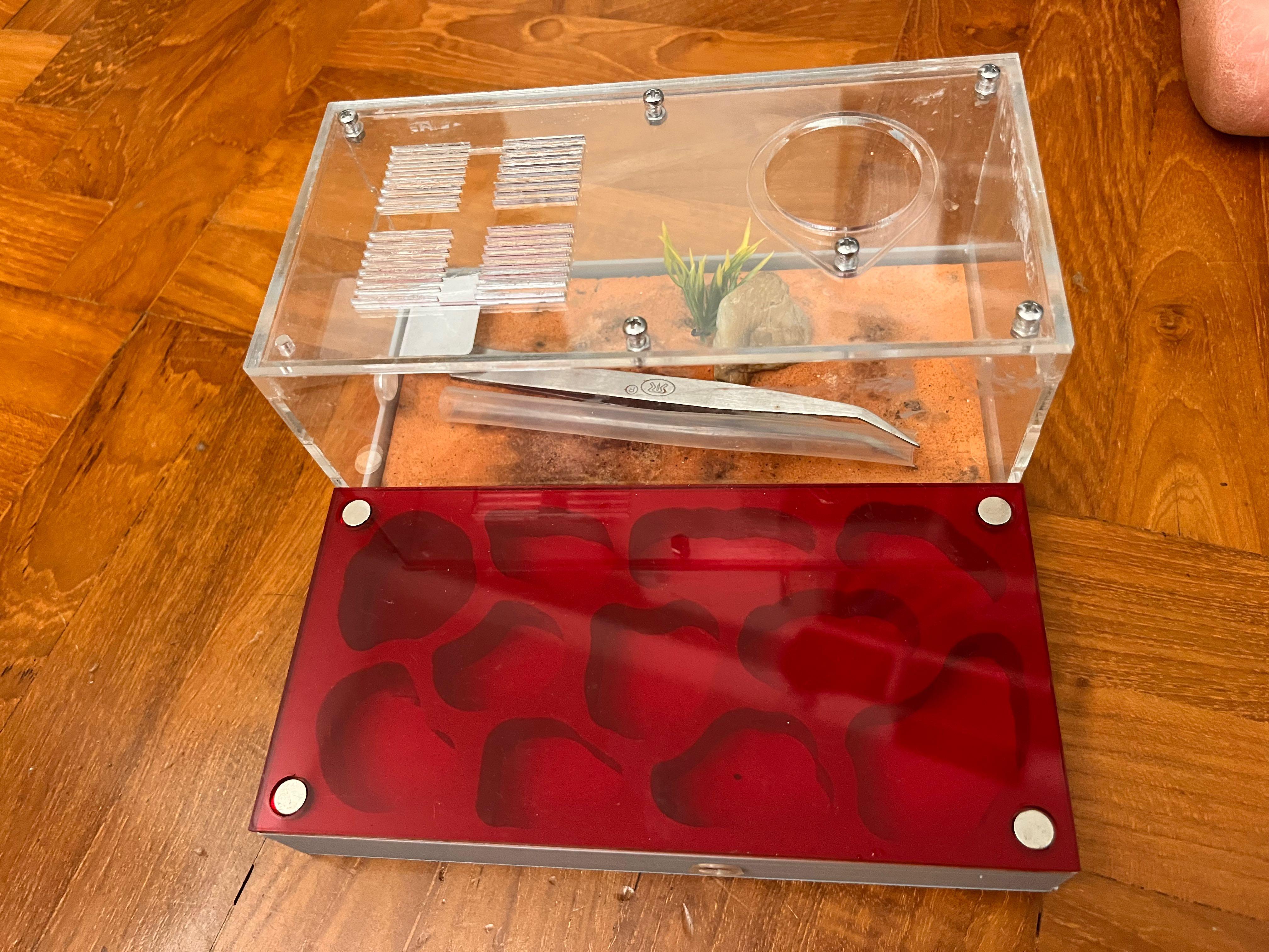 Ant formicarium, Pet Supplies, Homes & Other Pet Accessories on Carousell