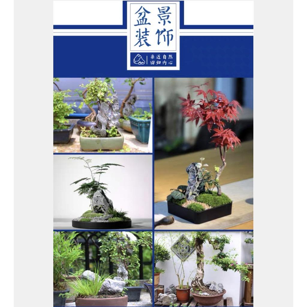 Aquascape Ryuoh Stones Seiryu stones Ryuoh rock: hardscape | aquarium ...