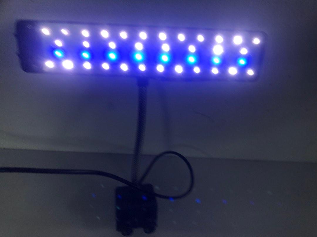 AquaZonic Aquarium LED Light 12V, Pet Supplies, Homes & Other Pet ...