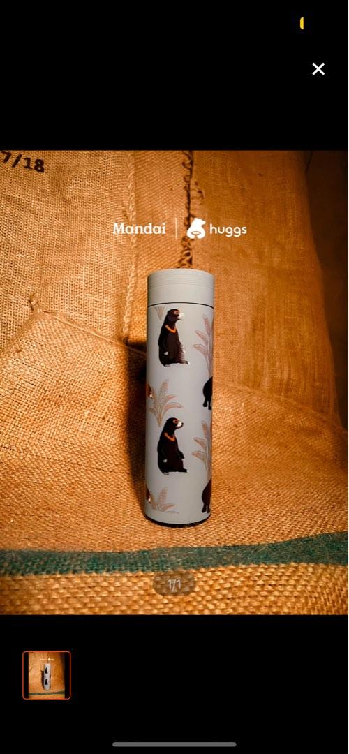 [BNIB] Huggs x Mandai Sunbear 16 Oz Thermal Flask / Tumbler ...