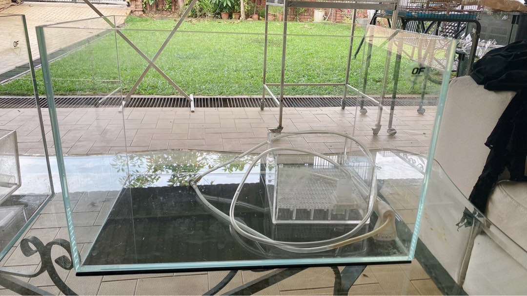 Crystal glass shrimp tank 45cm with T5 light, Pet Supplies, Homes ...