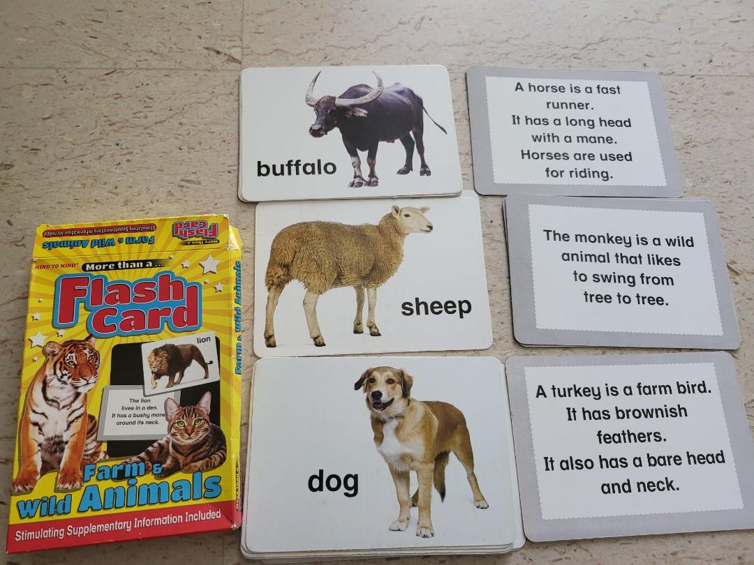 Farm & wild animals Flash Card, Hobbies & Toys, Books & Magazines ...
