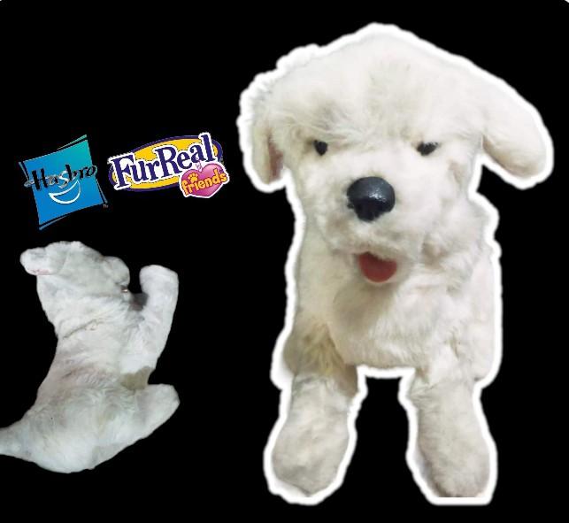 HASBRO FurReal White Puppy, Hobbies & Toys, Toys & Games on Carousell
