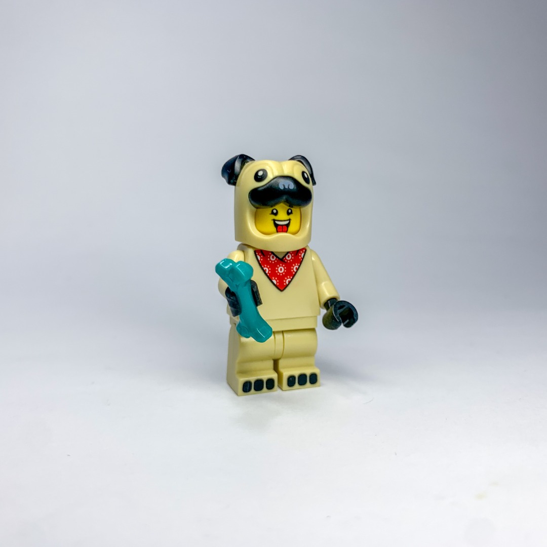 Lego Pug Costume Guy, Series 21, Hobbies & Toys, Toys & Games on Carousell