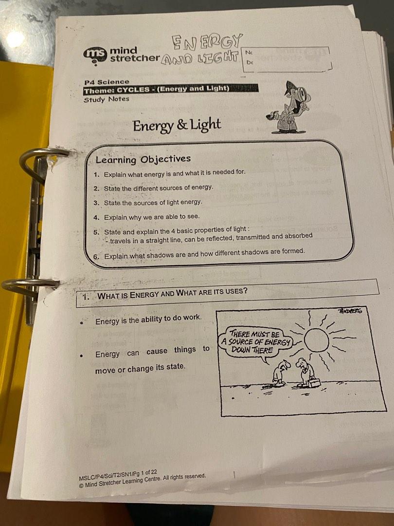 Mindstretchers P4 Science Worksheets & Notes, Hobbies & Toys, Books ...