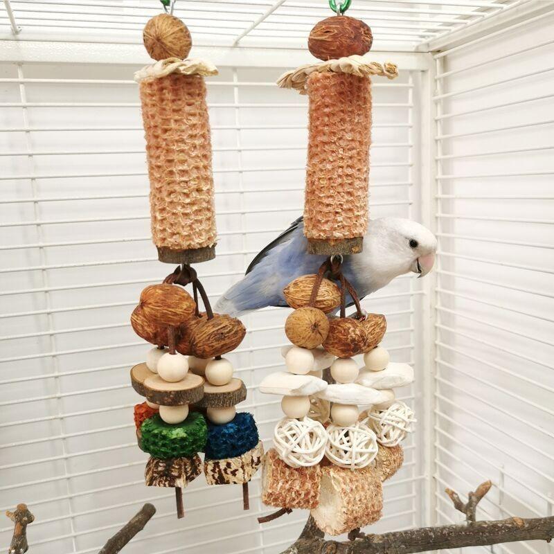 Parrot Chewing Toy | Bird Cuttlefish Bone | Carambola Corn Cob | Rattan ...