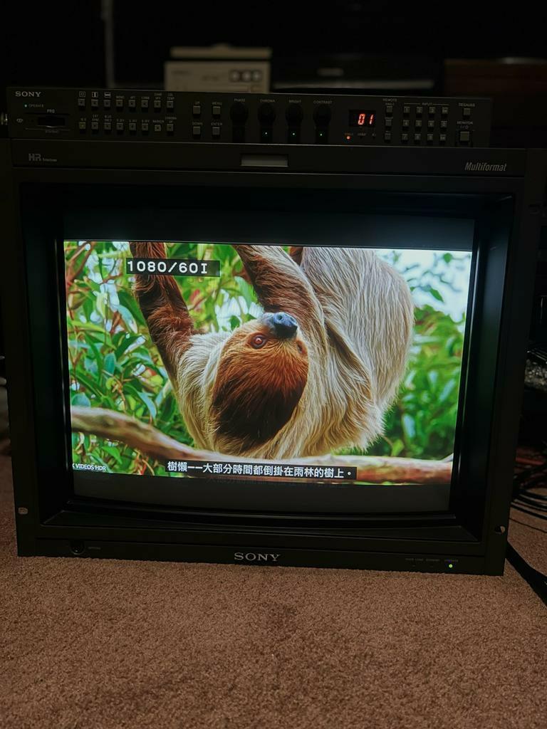 Sony BVM-A20F1 MultiScan Trinitron HD CRT Video Monitor PVM, 電腦＆科技, 商務用 ...