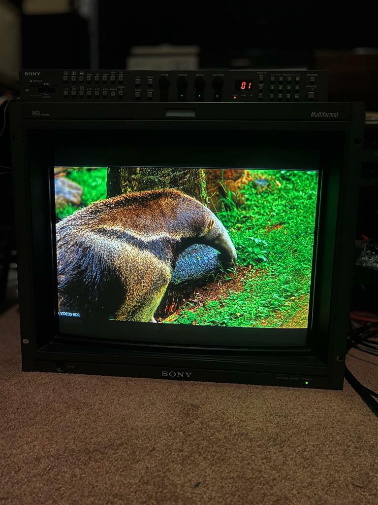 Sony BVM-A20F1 MultiScan Trinitron HD CRT Video Monitor PVM, 電腦＆科技, 商務用 ...