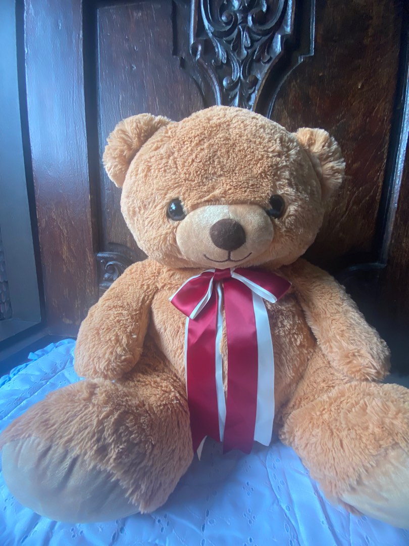 Teady Bear, Hobbies & Toys, Toys & Games on Carousell