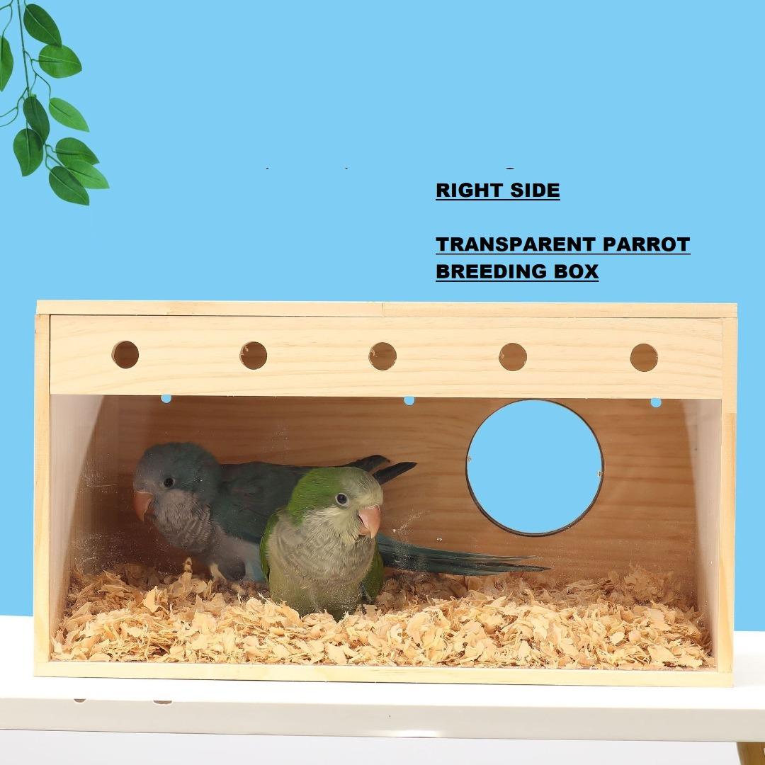 Transparent Parrot Breeding Box | Hanging Bird's Nest | Bird's House ...