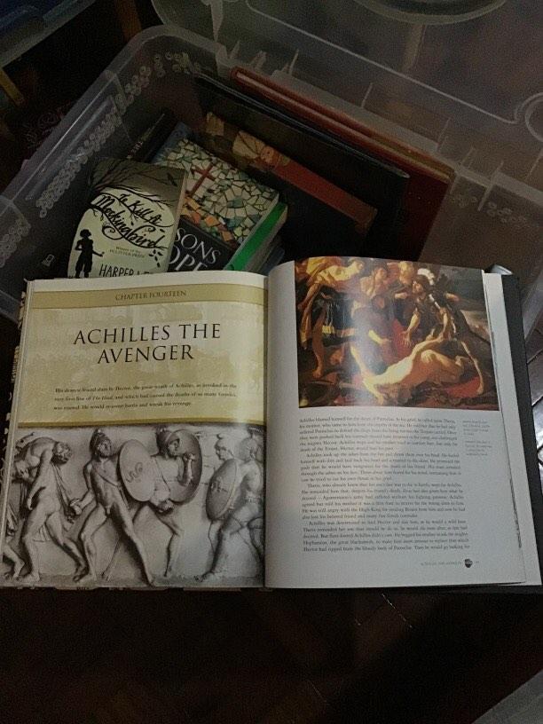 TROY The Myth and Reality Behind the Epic Legend by Nick McCarty ...