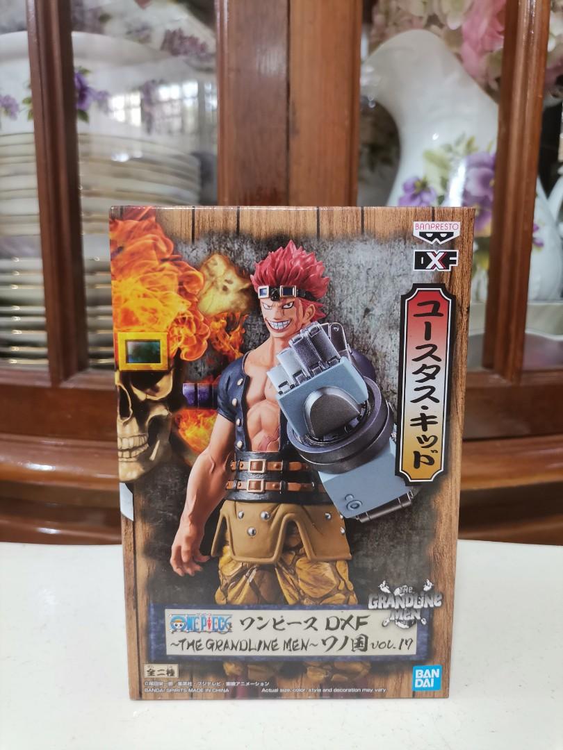 Banpresto One Piece DXF Kid Vol 17, Hobbies & Toys, Toys & Games on ...
