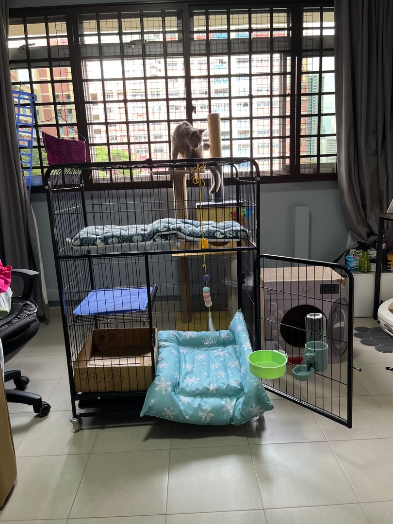 Cat cage only [Thick 3 tier], Pet Supplies, Homes & Other Pet ...