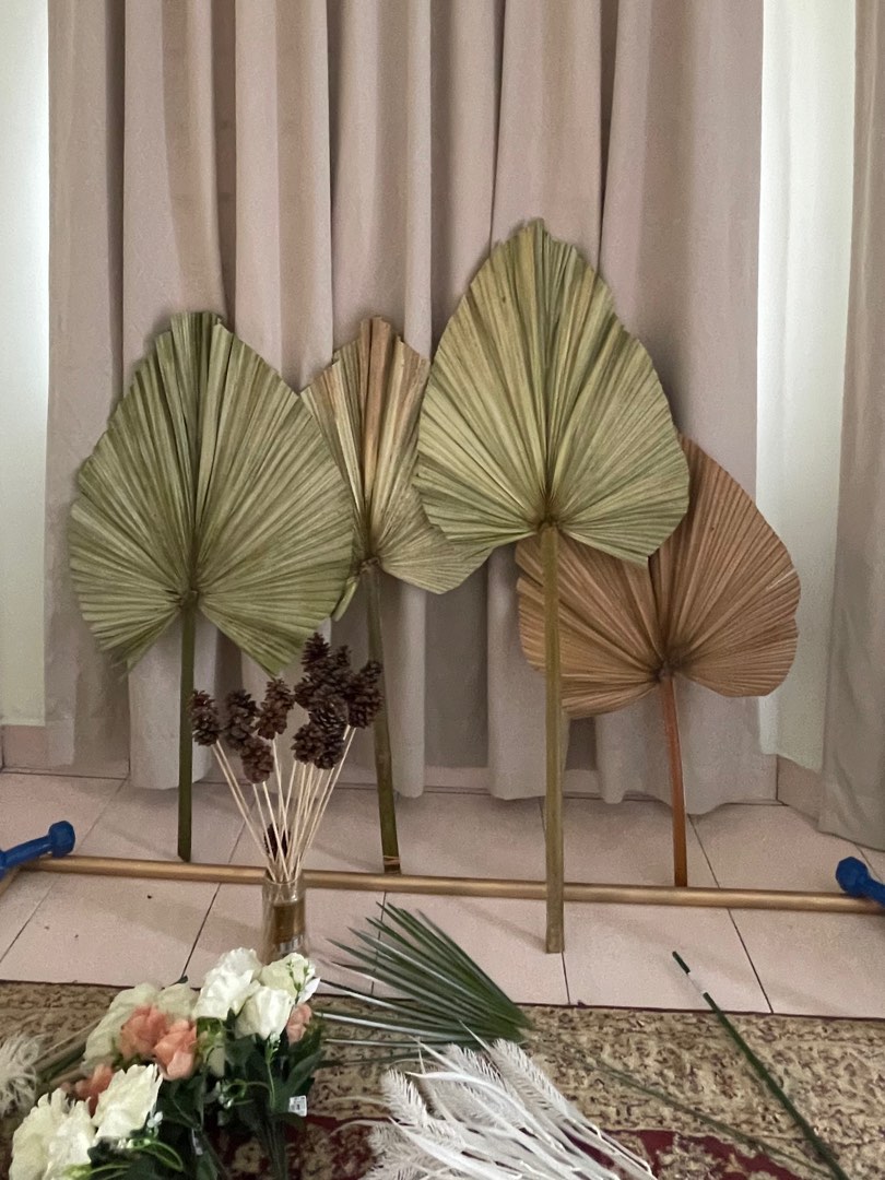 Daun kipas kering ( Palma), Furniture & Home Living, Home Decor, Other ...
