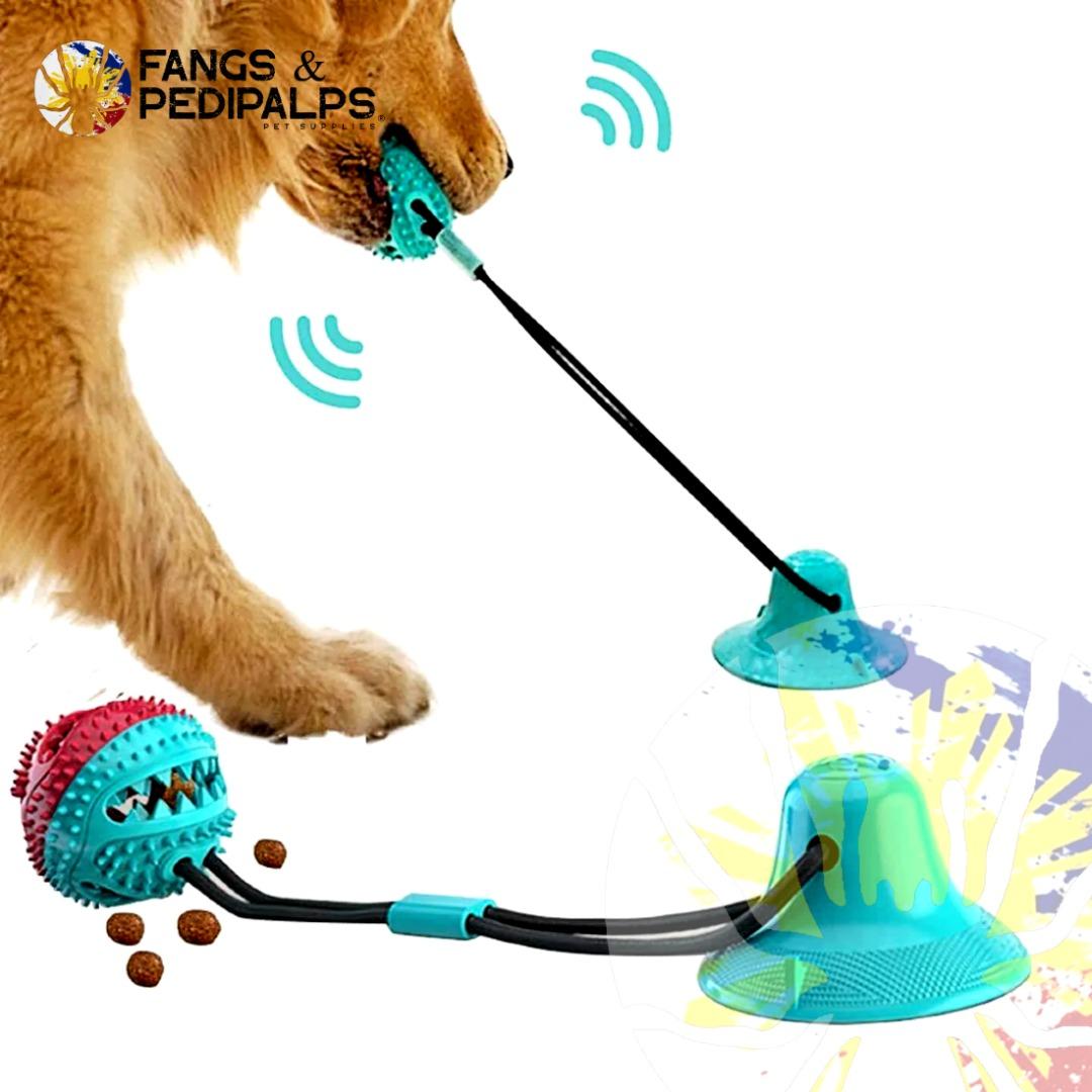DOG SELF-PLAYING TUG-OF-WAR WITH CHEW RUBBER BALL TOY, Pet Supplies ...
