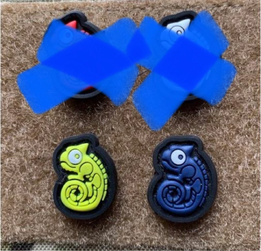 Mini Ranger Chameleon Flag Ranger Eye (RE PATCH), Hobbies & Toys ...