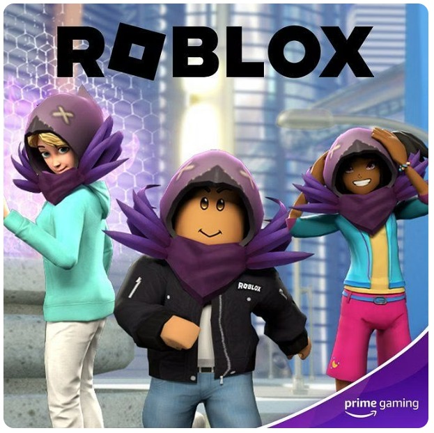 Roblox Raven Hunter Hood Code (Amazon Prime Gaming), Video Gaming ...